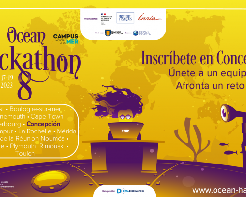 Las soluciones de la Ocean Hackathon 2023 para resolver los desafíos del mar | Inria